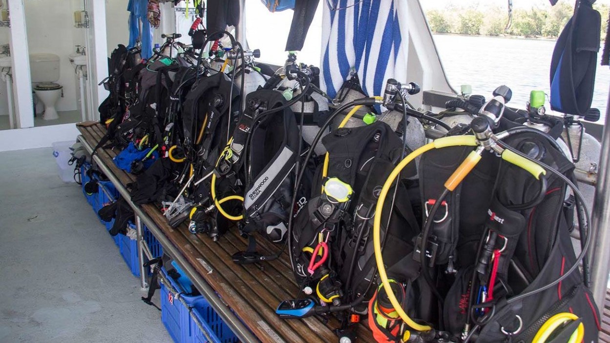 GALAPAGOS DIVING CRUISES – RESPECT TRAVEL